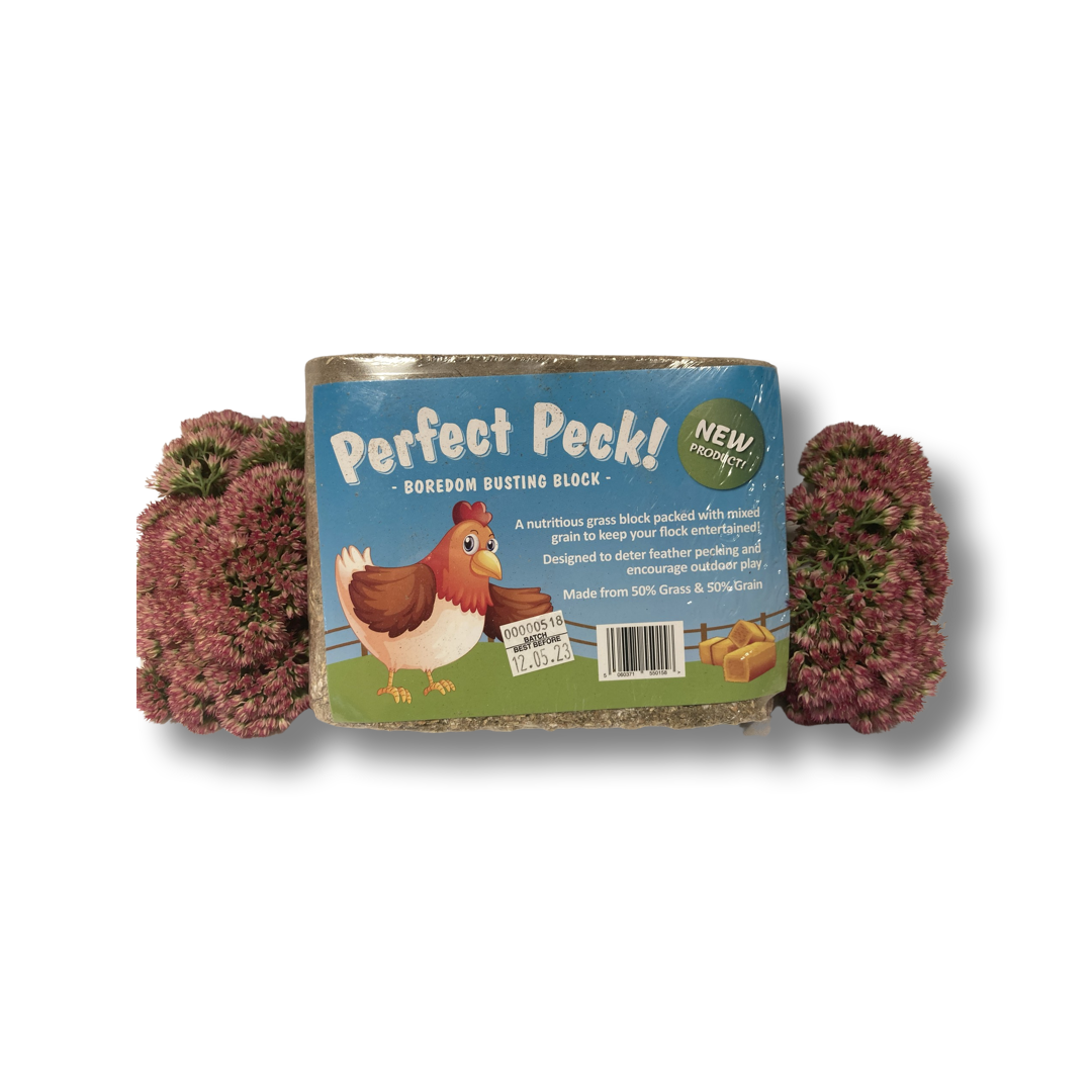 Perfect Peck Boredom Busting Block - Taylor Made Poultry
