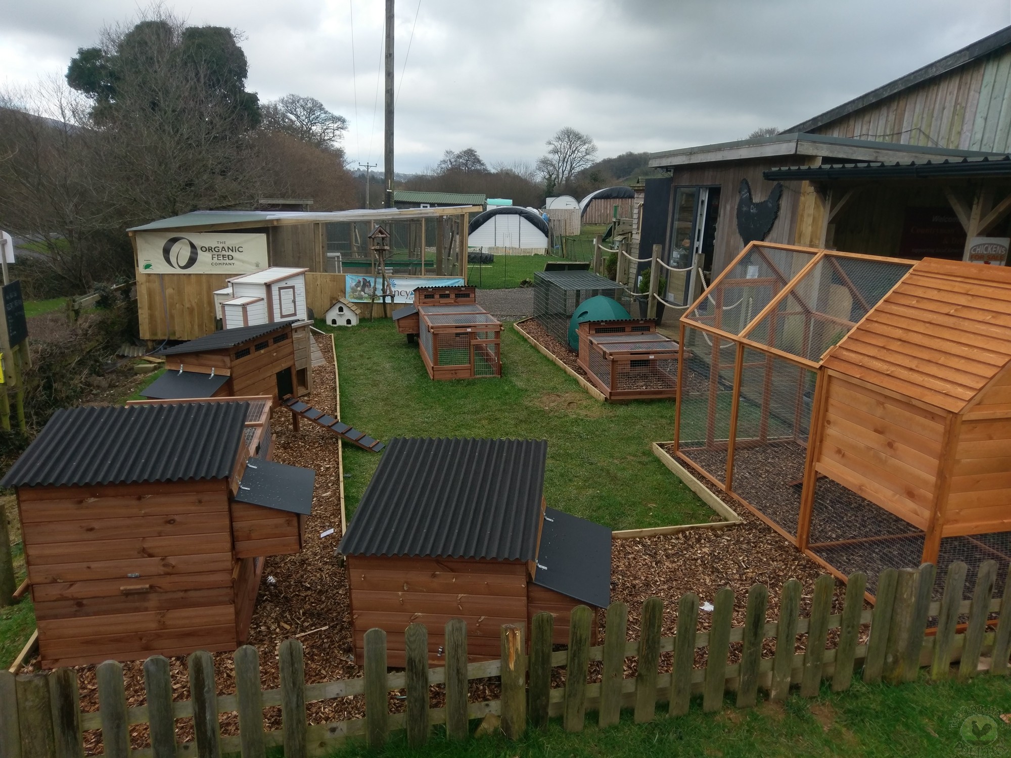 Taylor Made Poultry - Leading the way in high welfare